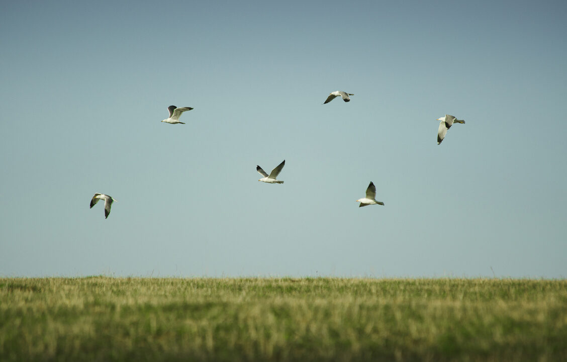 Top 10 Miracles of Georgian Nature – Georgia Starts Here